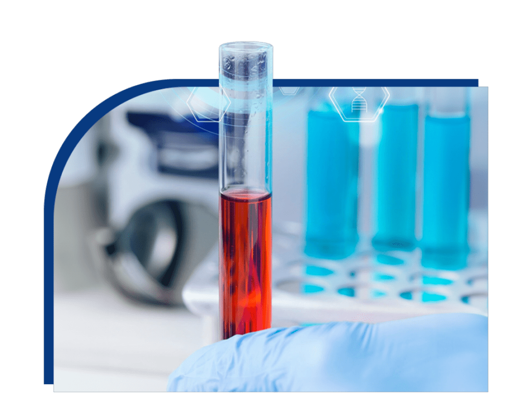 Our Areas Of Expertise – Maxonic